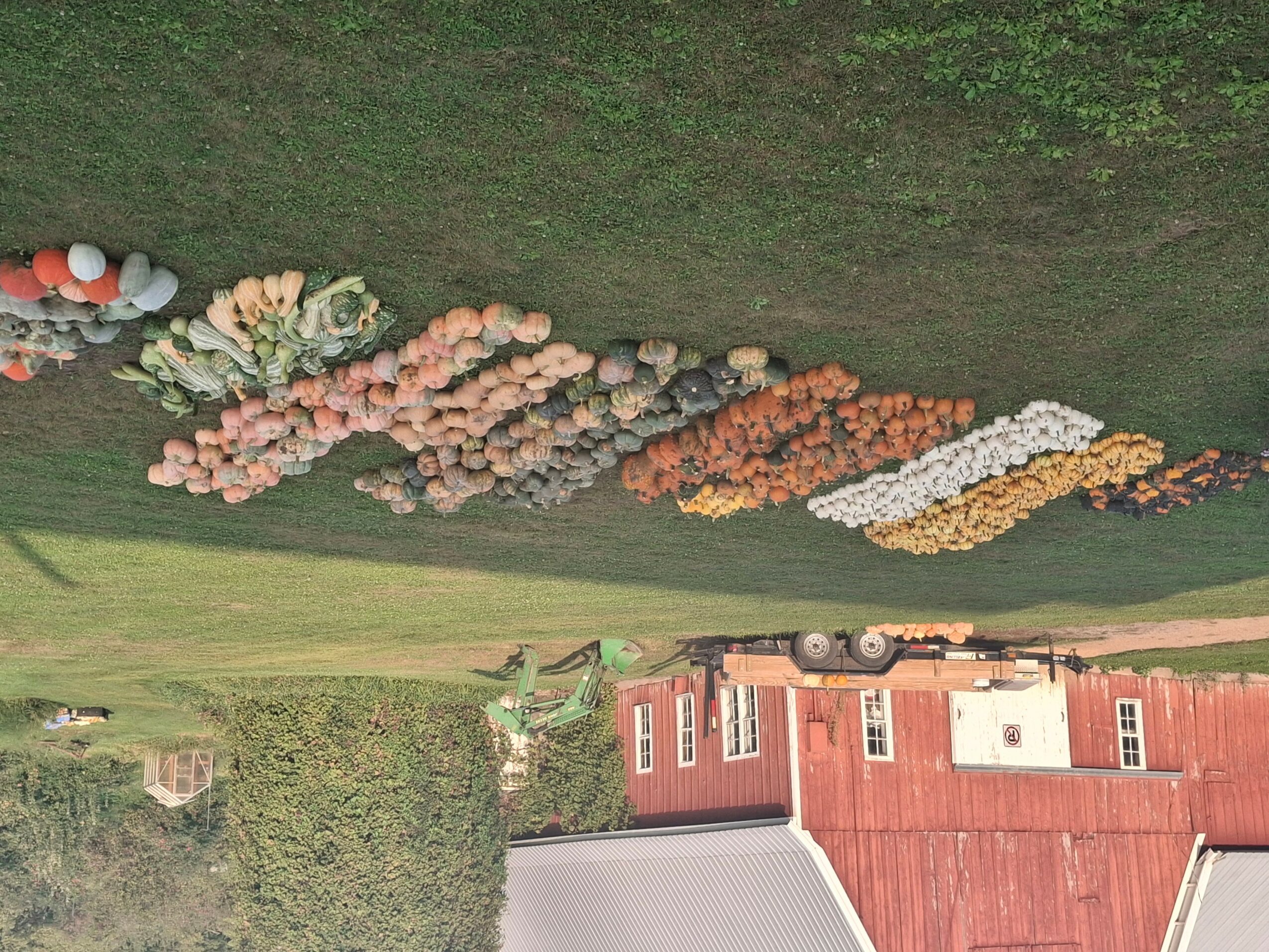 Exploring Life & Business with Darcy Akerberg of Akerberg Acres ...